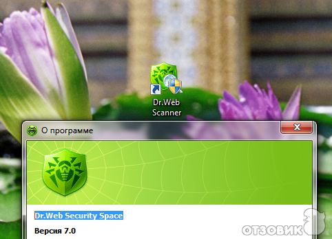 Отзыв о Dr.WEB Security Space - антивирус для Windows | Dr.Web Security Space или Kaspersky ...